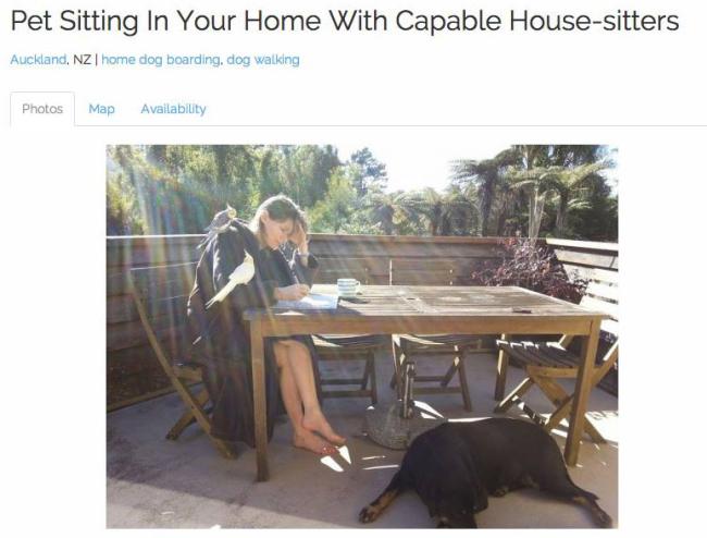 Tips for a Great Pet Sitter Profile for the Holidays | Pawshake Blog